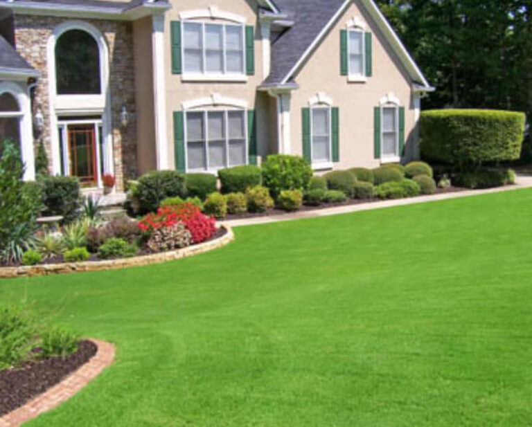 Landscape Services in Macon & Middle Georgia | Southern Eco-Scapes